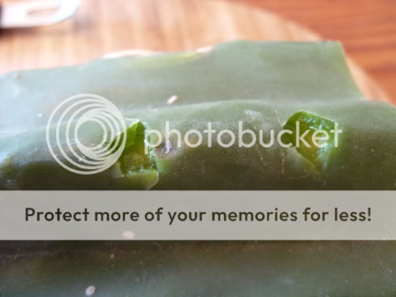 Working with fresh cactus - a pictoral. | DMT-Nexus forum