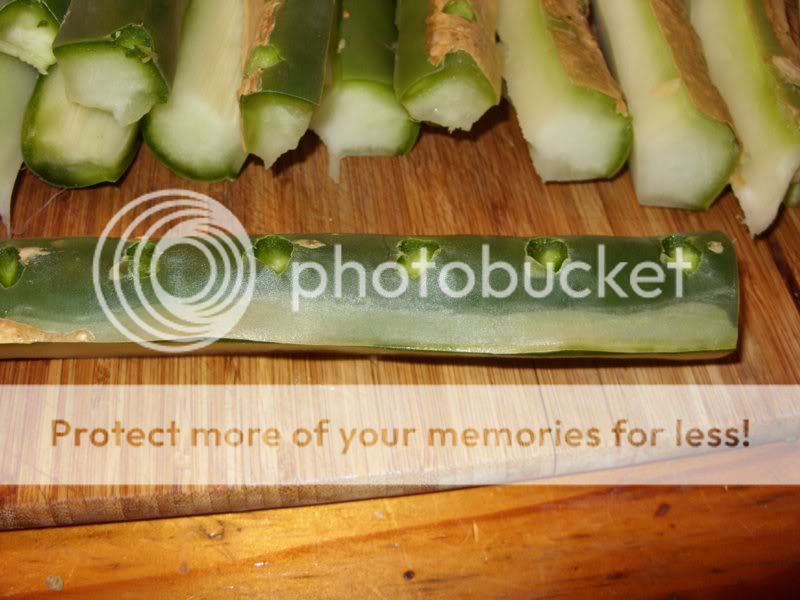 Working with fresh cactus - a pictoral. | DMT-Nexus forum