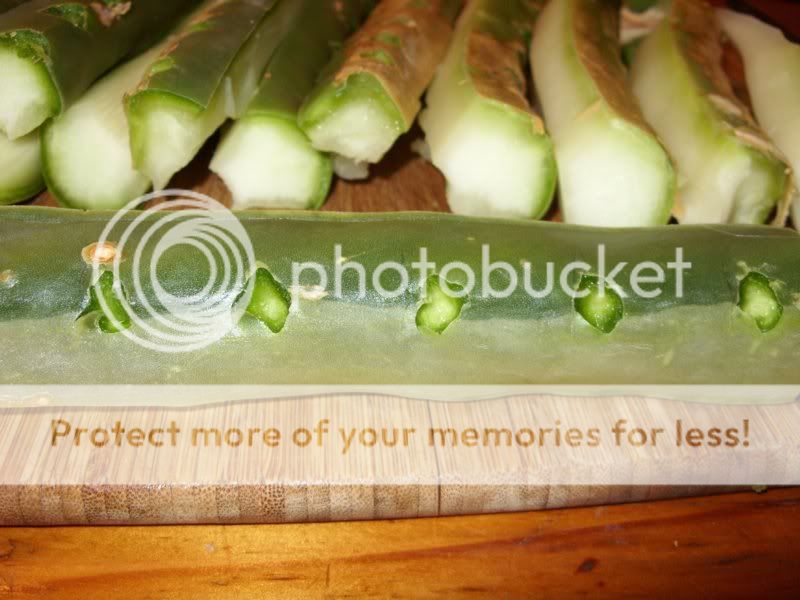 Working with fresh cactus - a pictoral. | DMT-Nexus forum