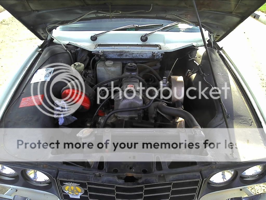 Engine bay sticker positions | Classic Rover Forum