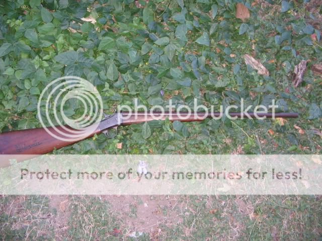 Best Beginner .22 Rifle | Rimfire Central Firearm Forum