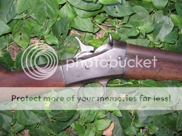 Best Beginner .22 Rifle | Rimfire Central Firearm Forum