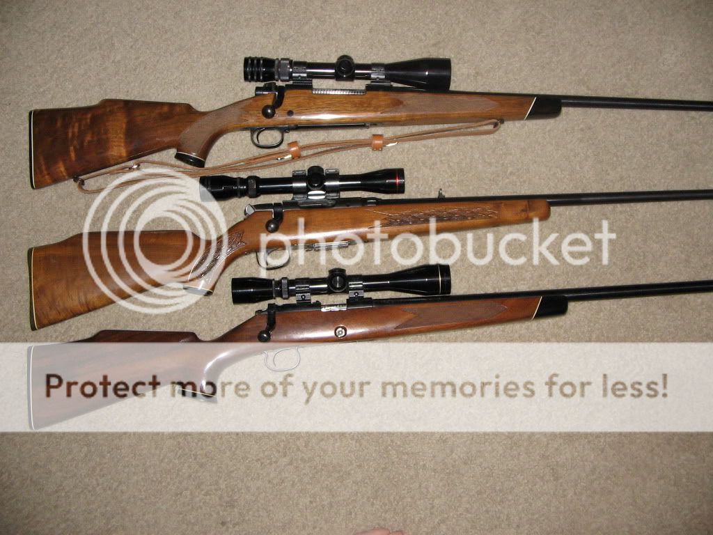 Savage 340 Opinions | Rimfire Central Firearm Forum